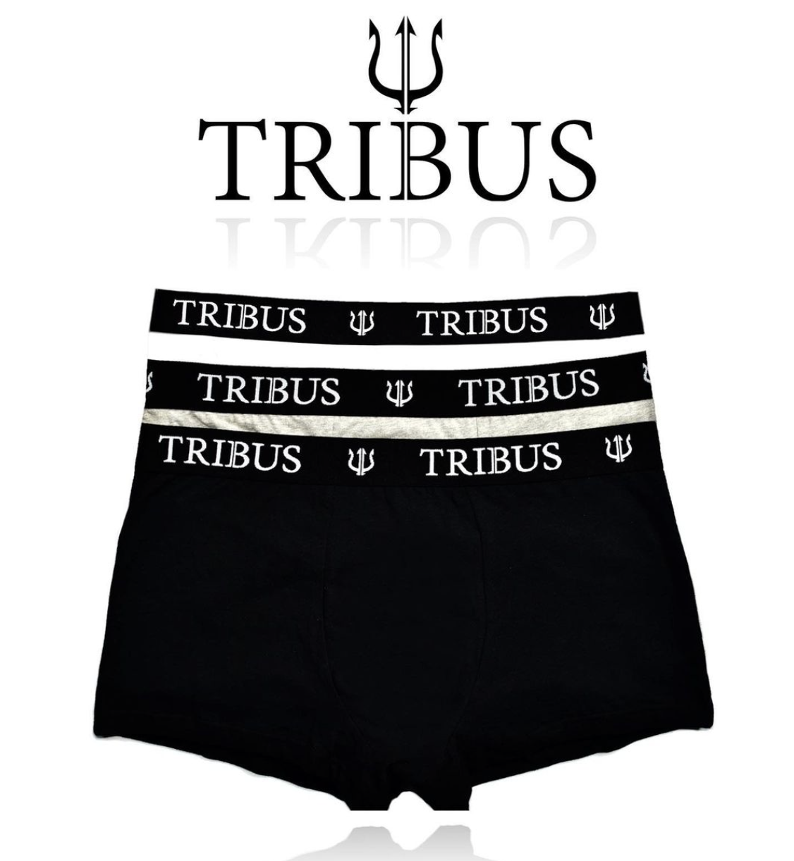 eCommerce Premium Unterwäschen Brand \\\"Tribus\\\" mit viel Potenzial - Projektify